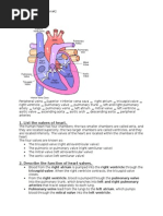 Heart Anatomy and Physiology Module | PDF | Heart Valve | Coronary ...