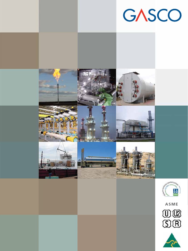 Gasco: Leaders in Combustion Engineering | PDF | Hvac | Natural Gas