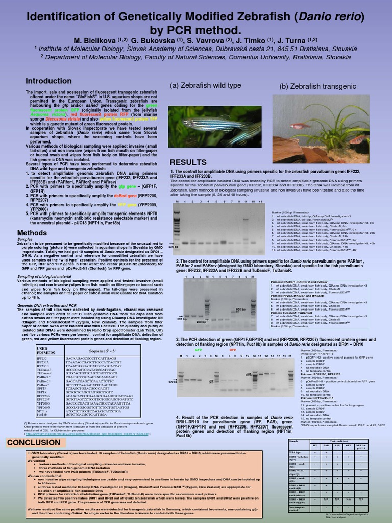 T.2.22 Bukovska - Poster Zebrafish 24062008last | Download Free PDF ...