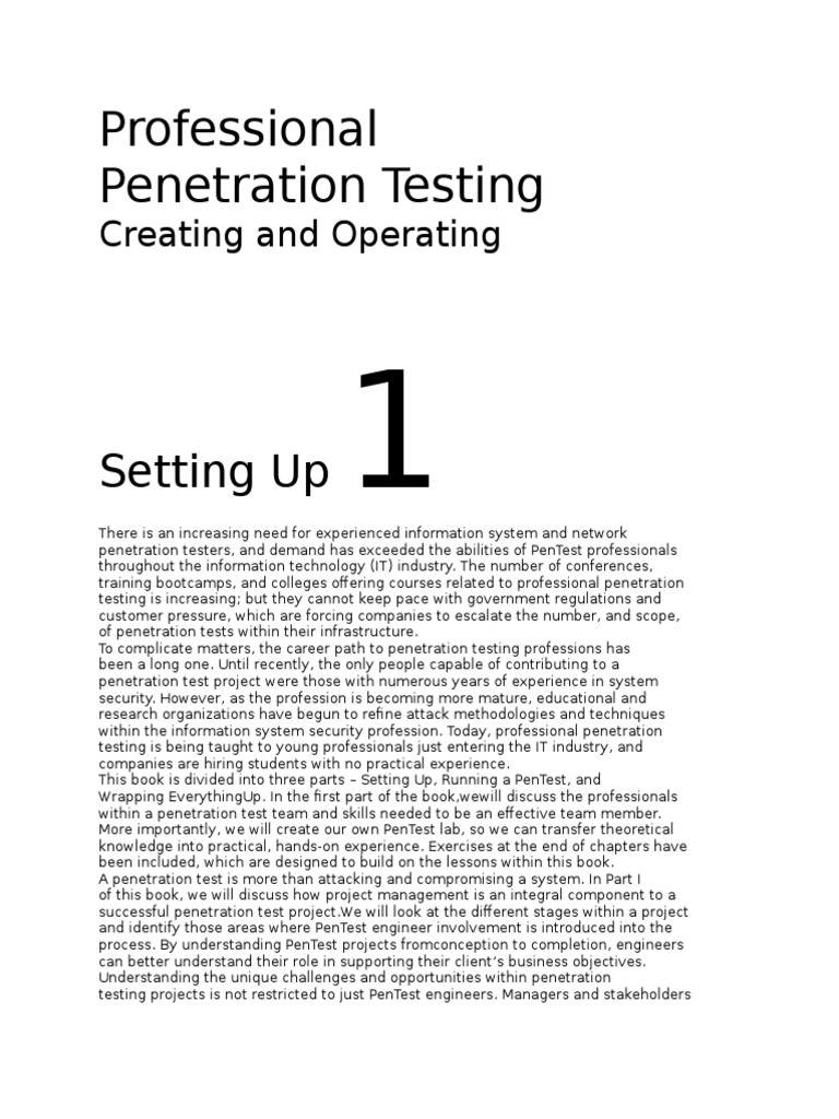 Professional Penetration Testing Document | Download Free PDF ...