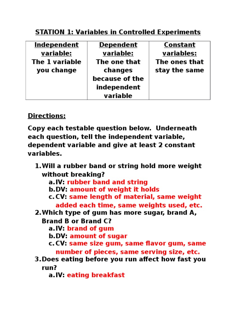 Scientific Method Stations Worksheet | PDF | Petal | Flowers