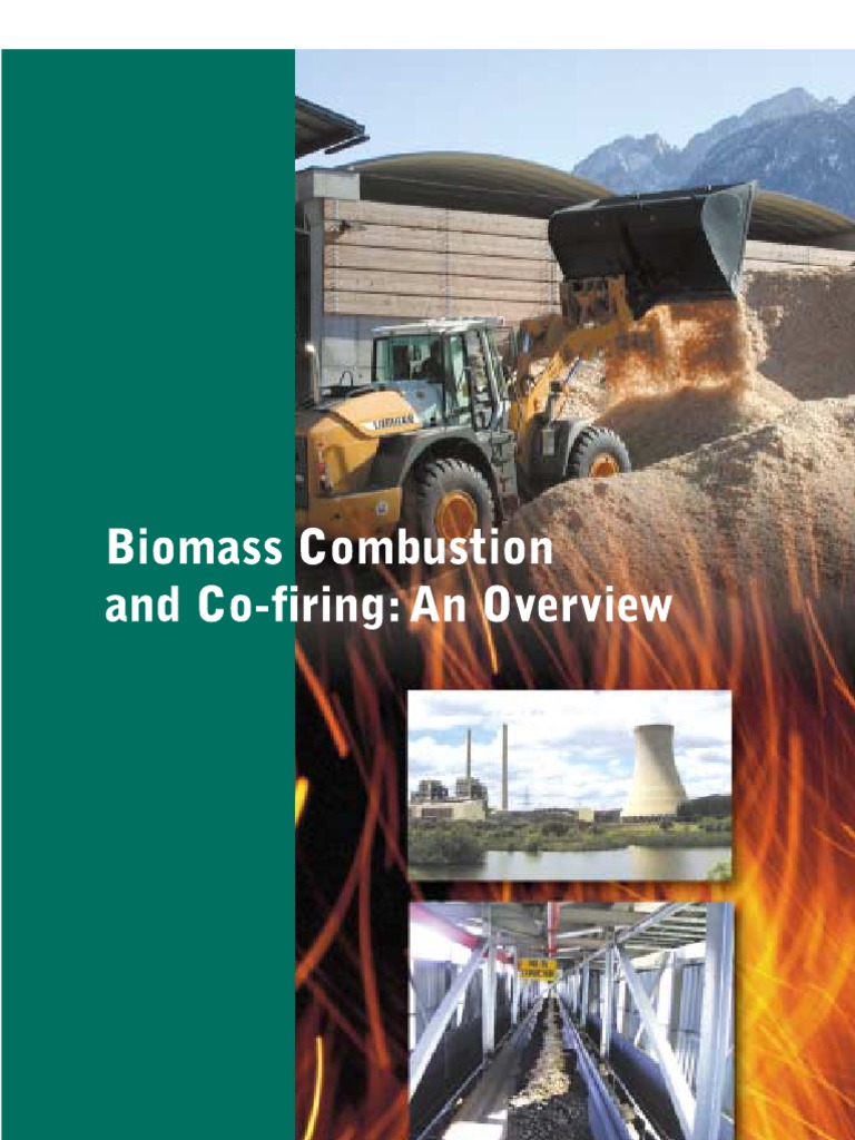 Biomass Combustion & Co-Firing | PDF | Biomass | Combustion