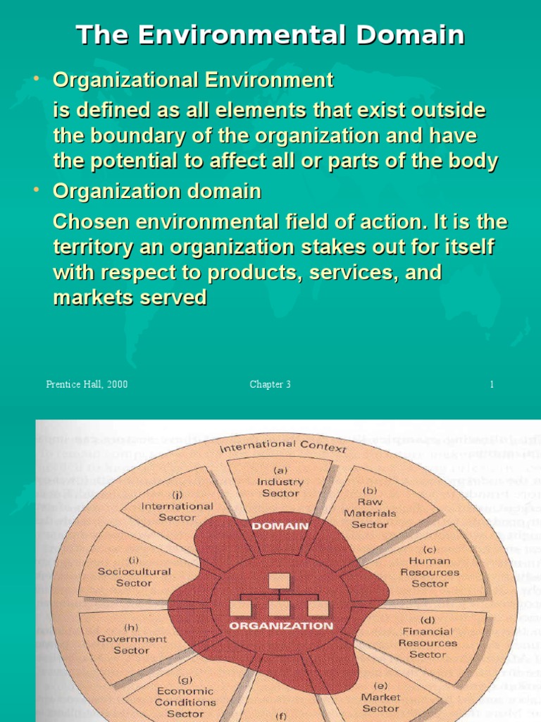 The Environmental Domain | PDF | Innovation | Market (Economics)