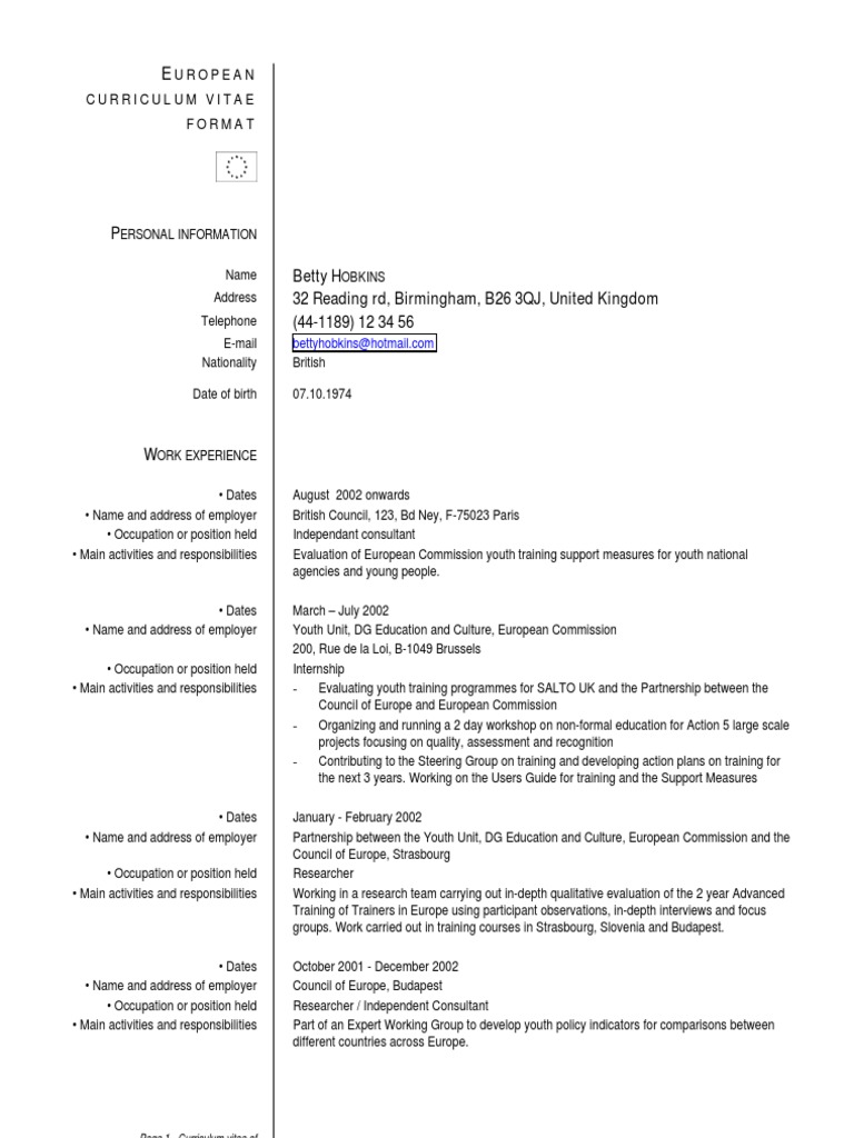 CV Example en | PDF