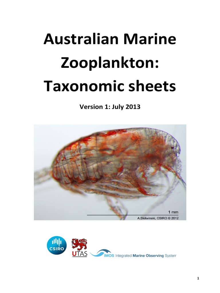 AtlasAustralianZooplanktonGuide Introduction | PDF | Plankton | Species