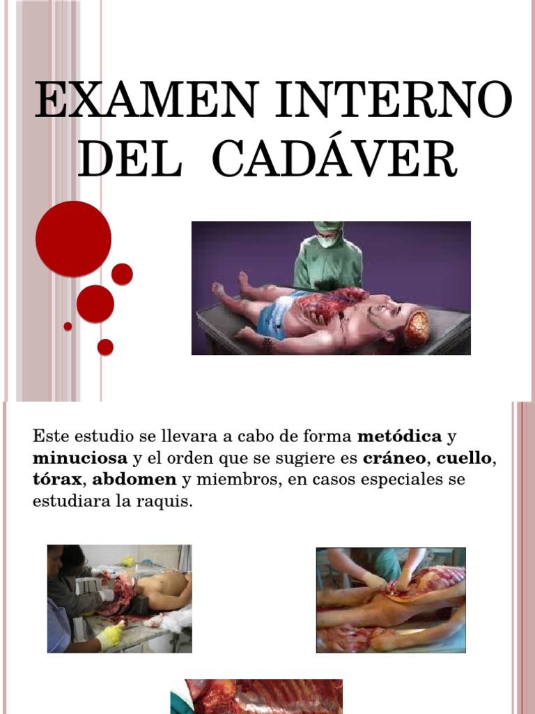 Necropsia | PDF | Cráneo | Anatomía humana