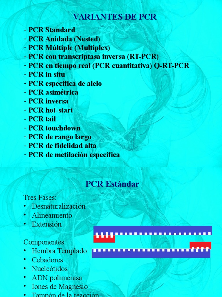 Variantes y Tipos de PCR | PDF | Reacción en cadena de la polimerasa ...
