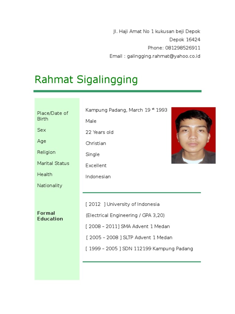 Rahmat Sigalingging's CV and Skills Profile | PDF | Career & Growth
