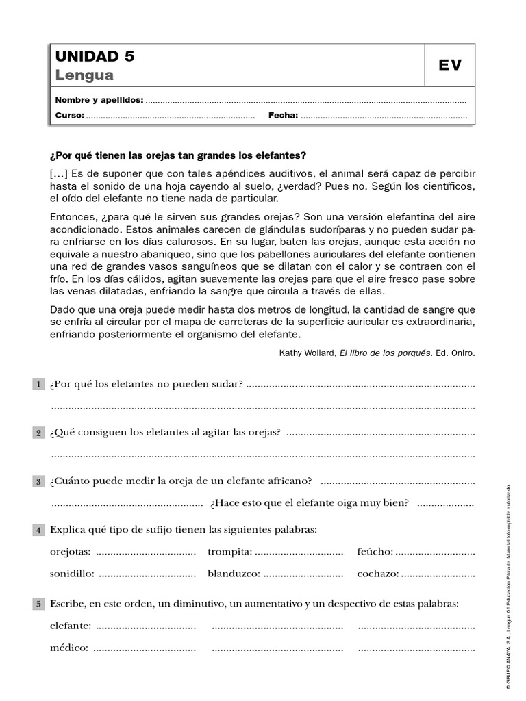 Ev 5 Lengua 6º PDF | PDF | Artes del Lenguaje y Comunicación | Estudios ...