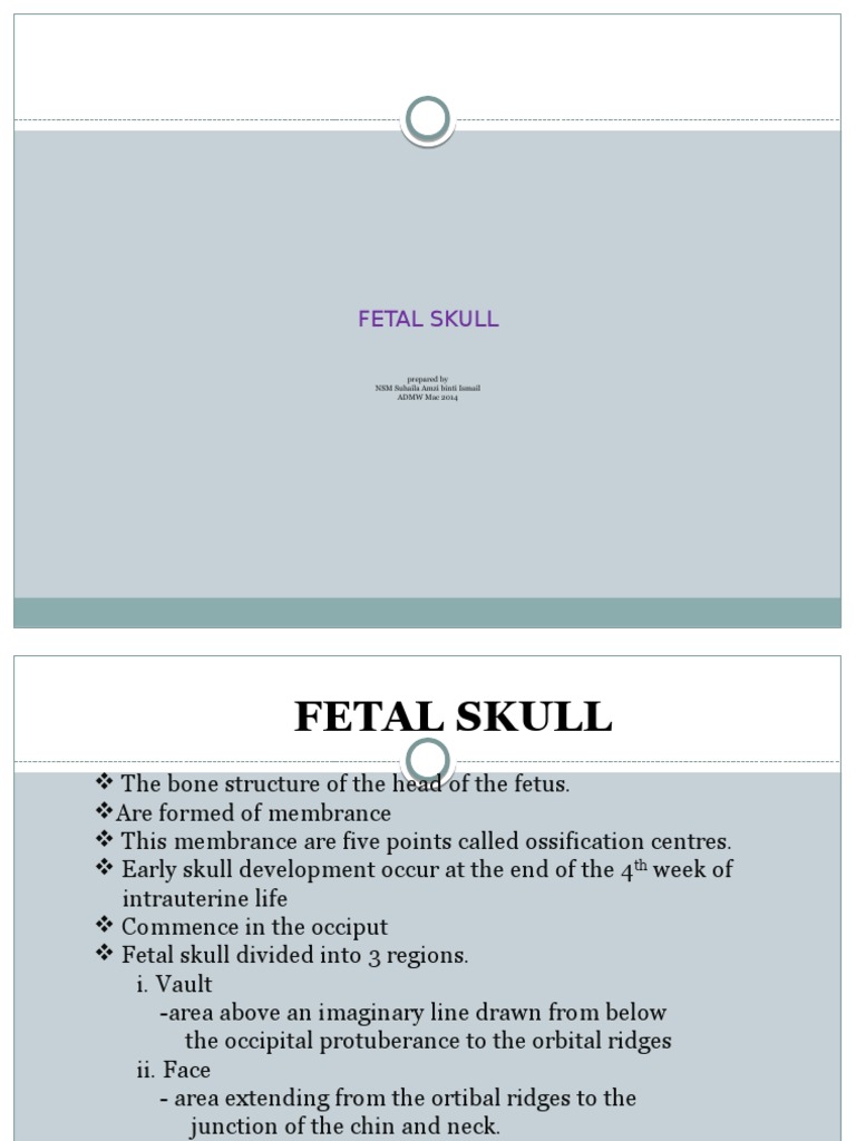 Fetal Skull | PDF | Skull | Skeletal System