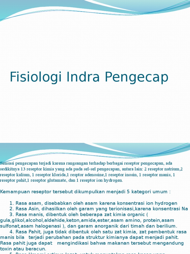 Fisiologi Indra Pengecap | PDF