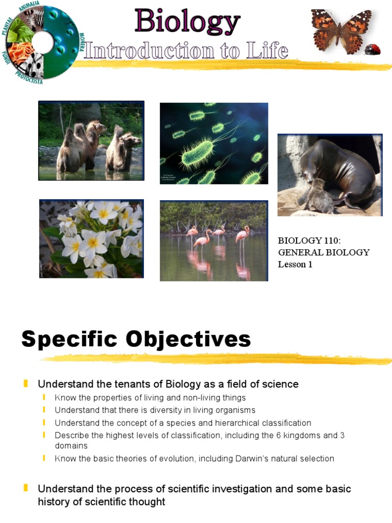 BIOLOGY 110: General Biology Lesson 1 | PDF | Biology | Organisms
