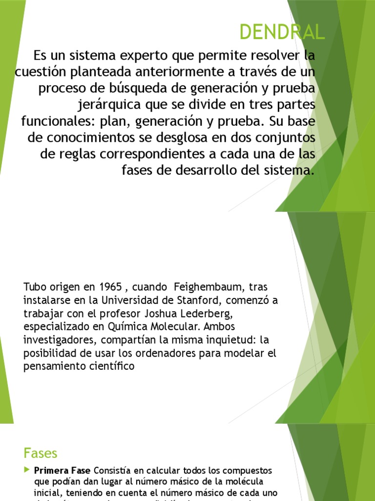 Historia y Evolución de DENDRAL | PDF | Moléculas | Química