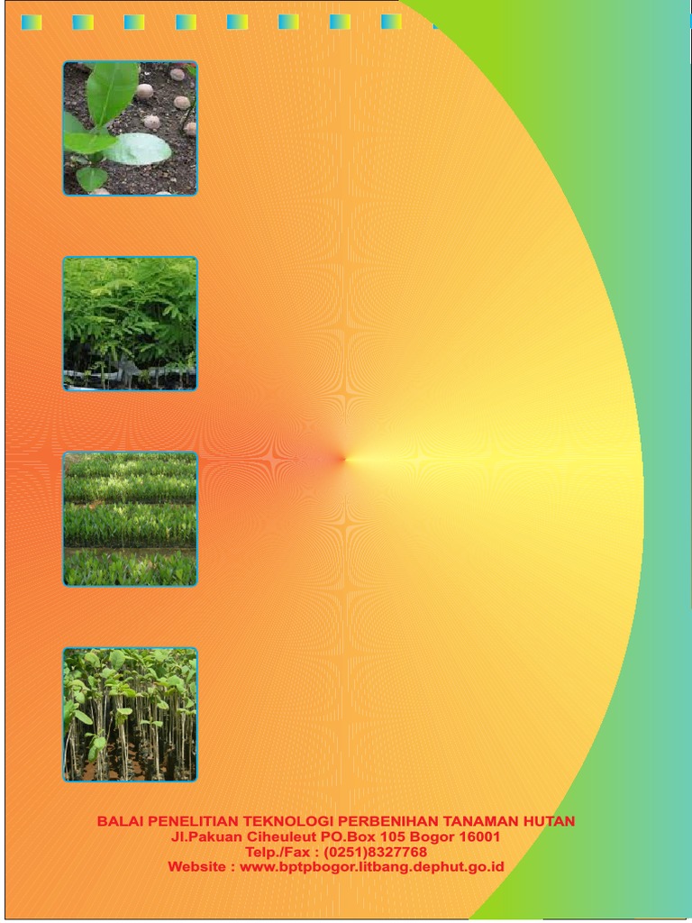 Teknik Persemaian | PDF