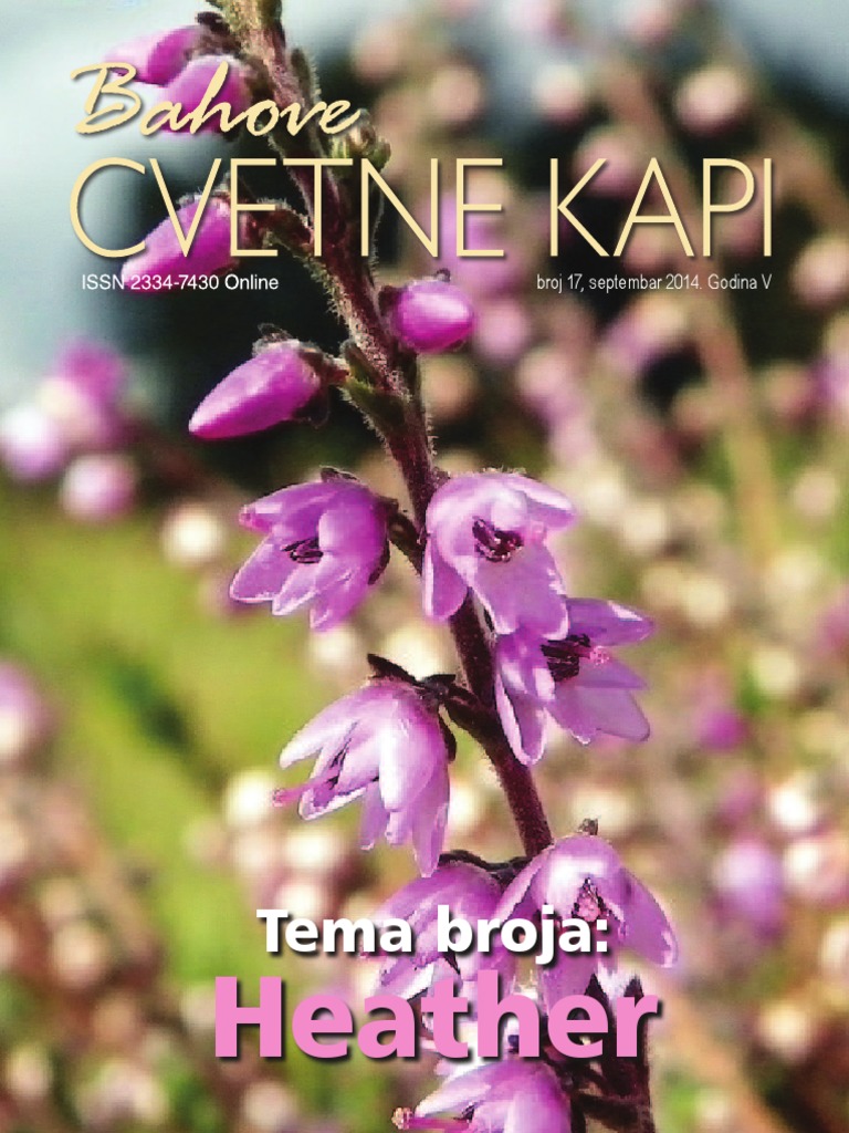 Bahove Kapi 17 | PDF