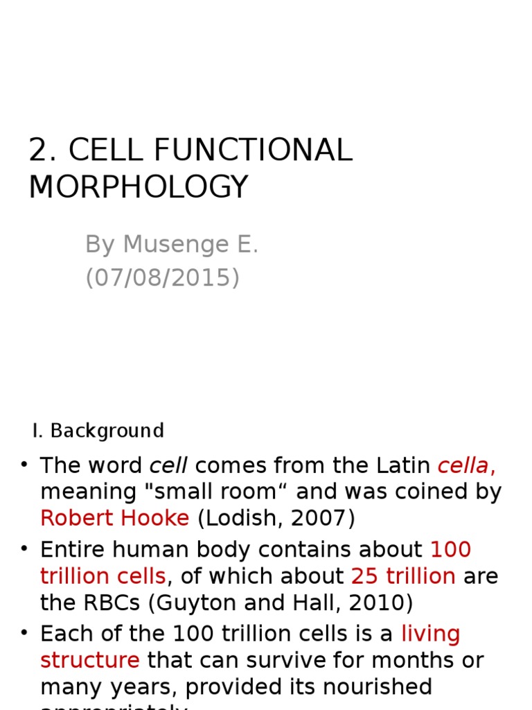 Cell Functional Morphology | PDF | Cell Membrane | Mitochondrion