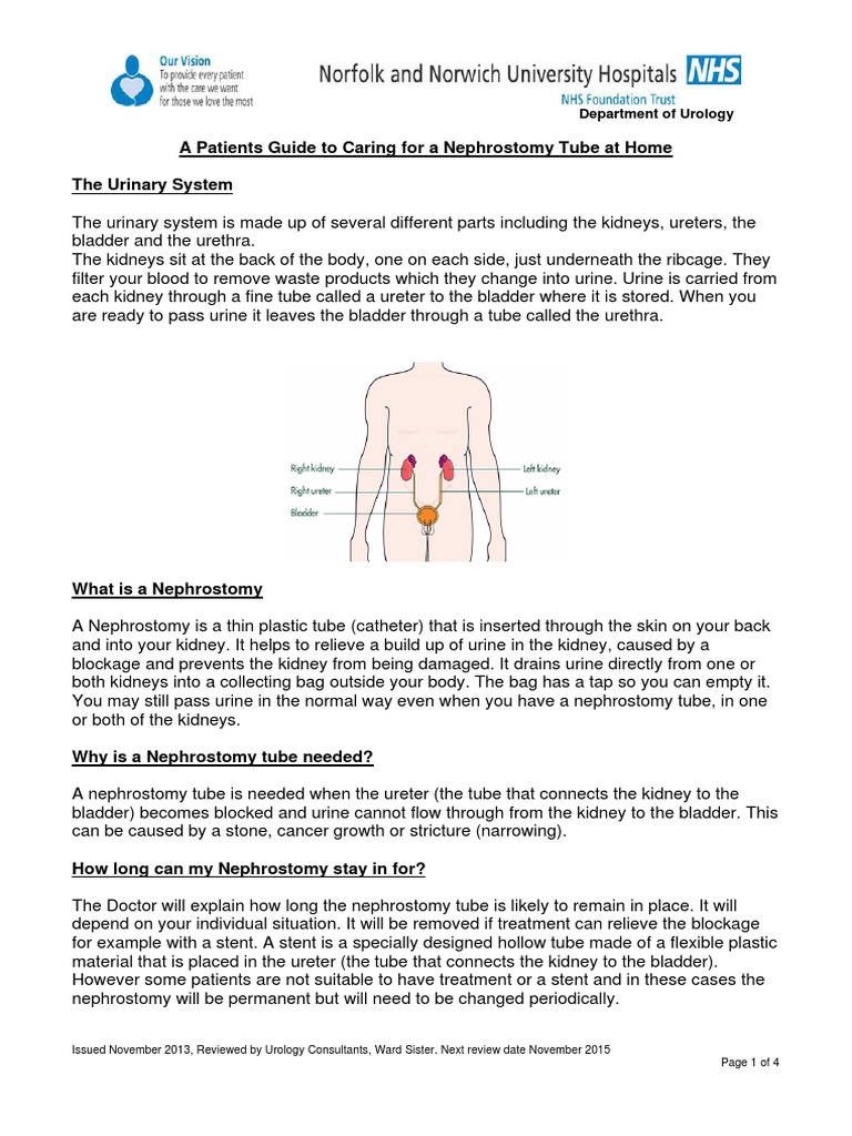 Nephrostomy Tube Care at Home Guide | PDF | Urinary System | Urinary ...