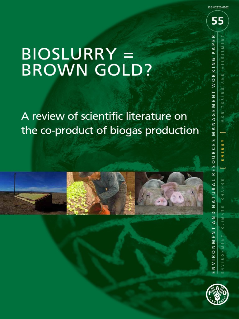 Bio Slurry - Brown Gold? Literature For Production Biogas | PDF ...
