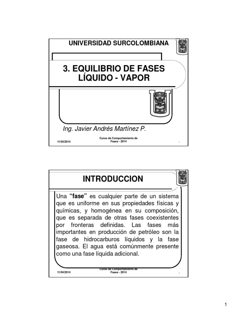Equilibrio de Fases Liquido - Vapor PDF | PDF | Gases | Líquidos