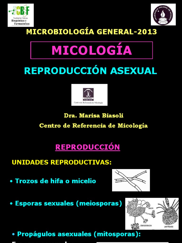 Clasificación de Conidios en Micología | PDF | Espora | Reproducción