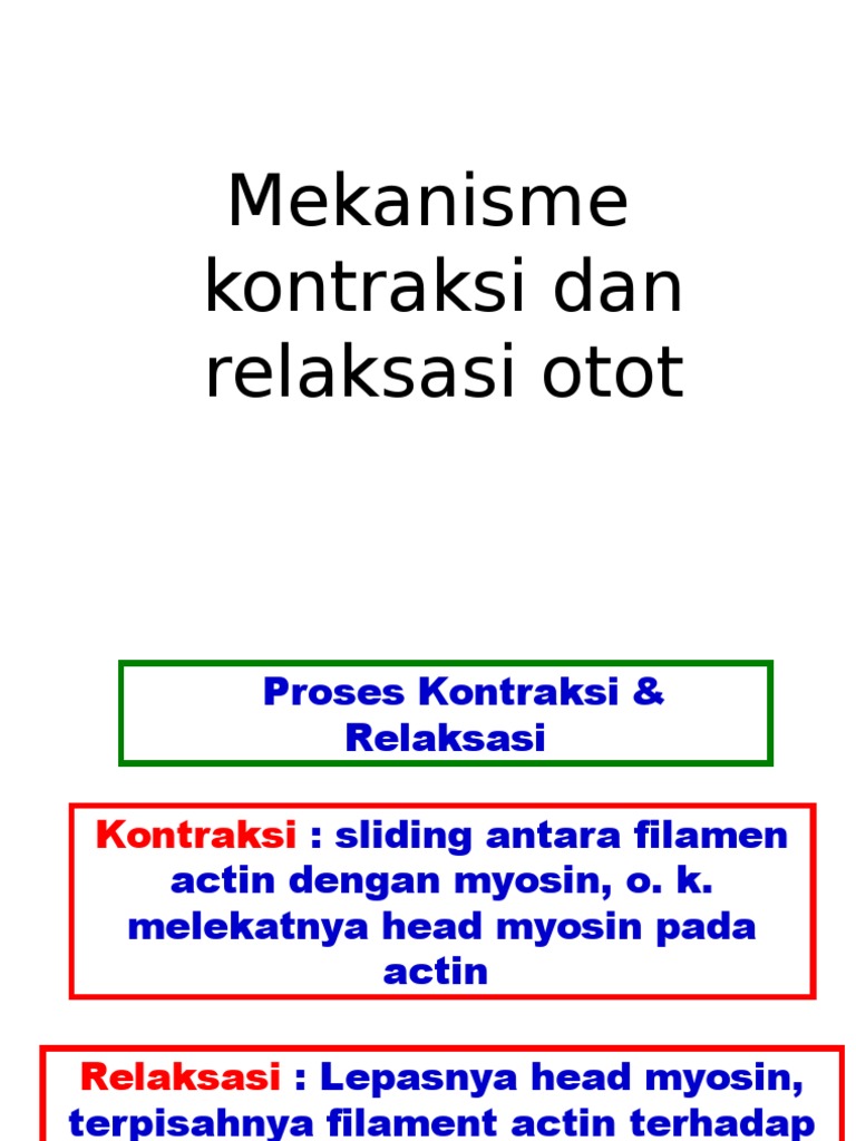 Mekanisme Kontraksi dan Relaksasi Otot | PDF