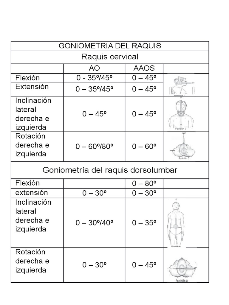 GONIOMETRIA | PDF | Ciencia y matemáticas