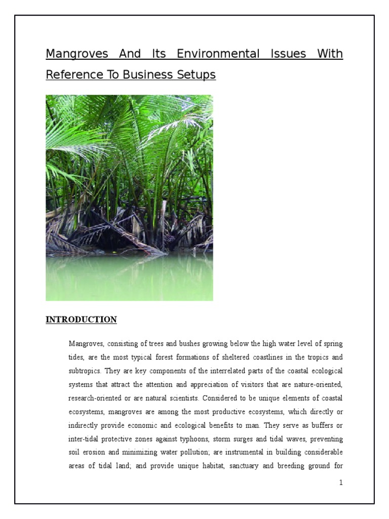 Mangroves Project | Mangrove | Deforestation