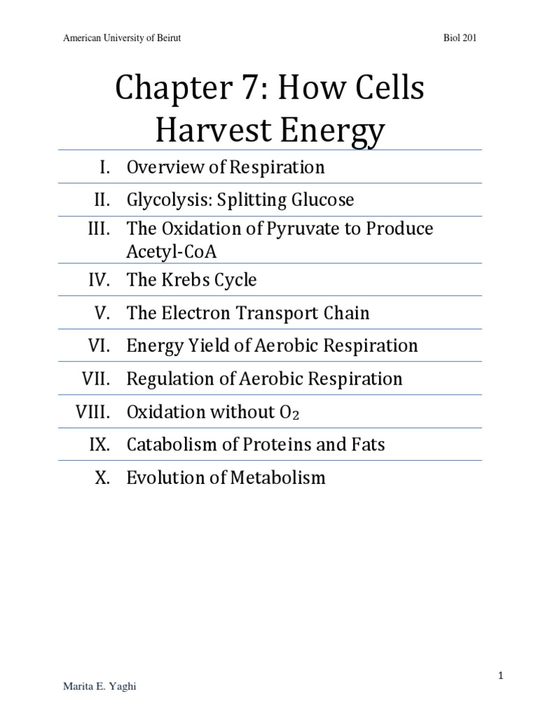 How Cells Harvest Energy | PDF | Cellular Respiration | Adenosine ...