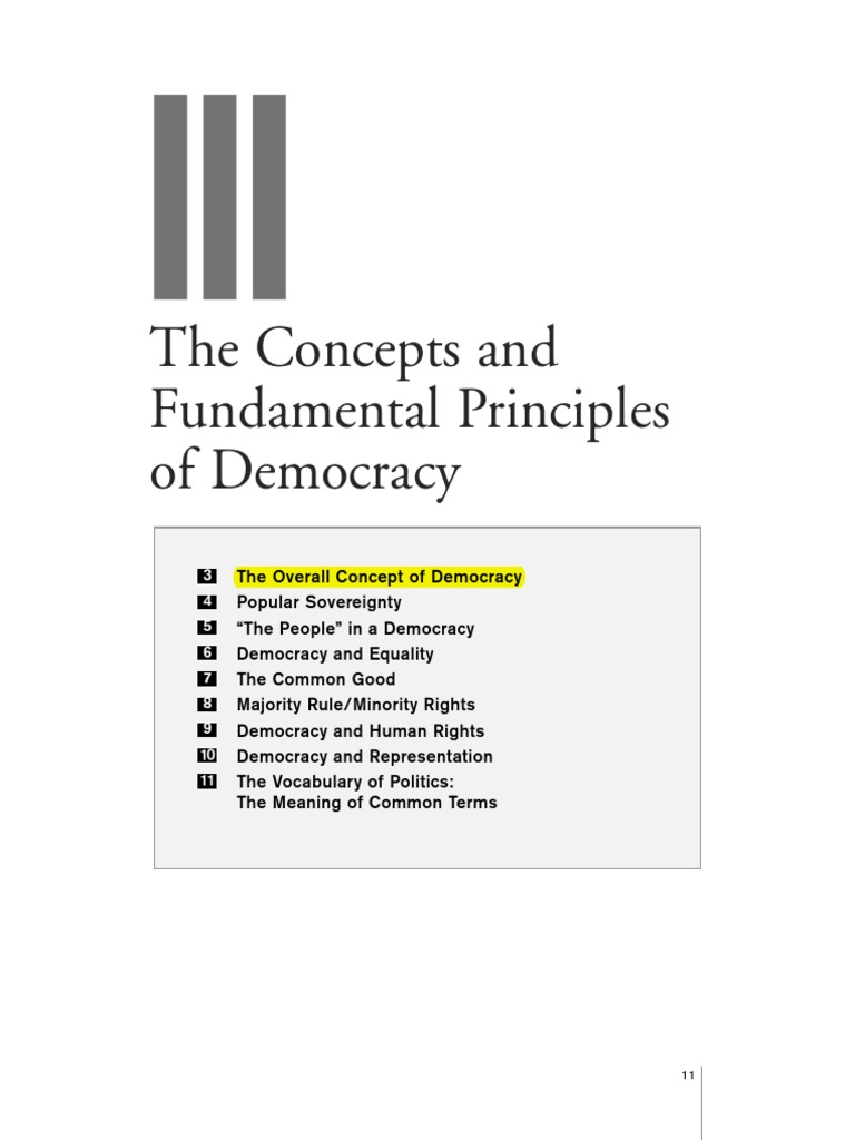 Core Principles of Democracy Explained | PDF | Elections | Democracy