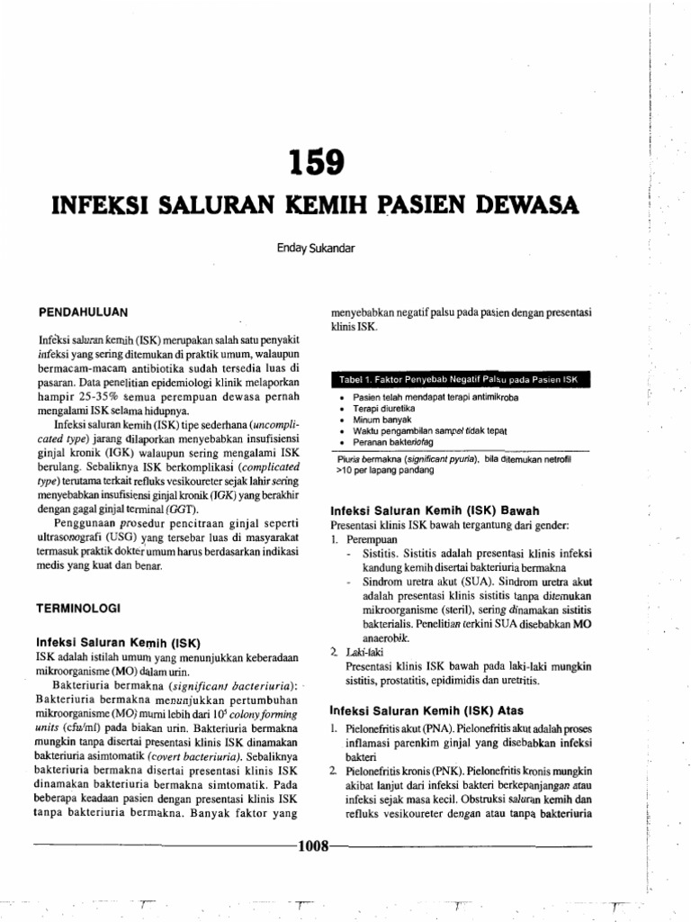 ISK Papdi | PDF