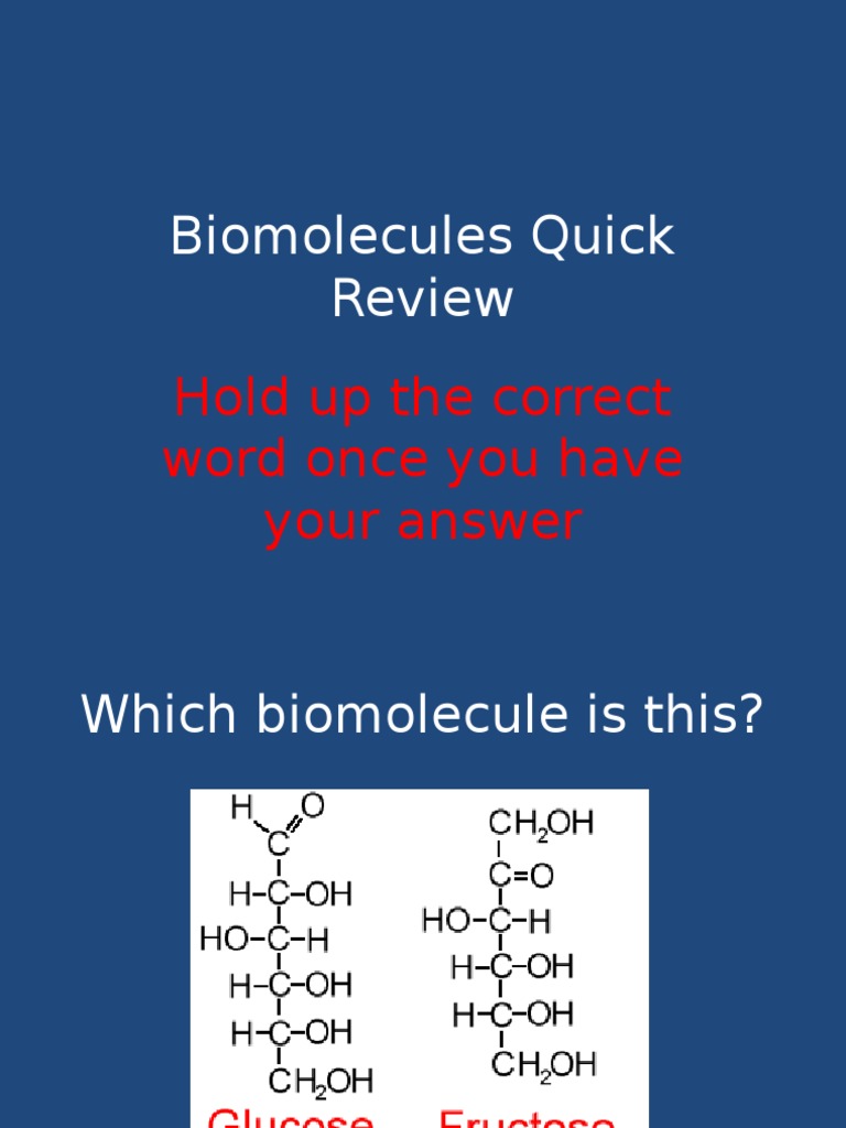 Biomolecules Quick Review Guide | PDF | Biomolecules | Carbohydrates