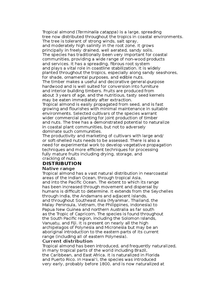 Tropical Almond | PDF | Trees | Nut (Fruit)