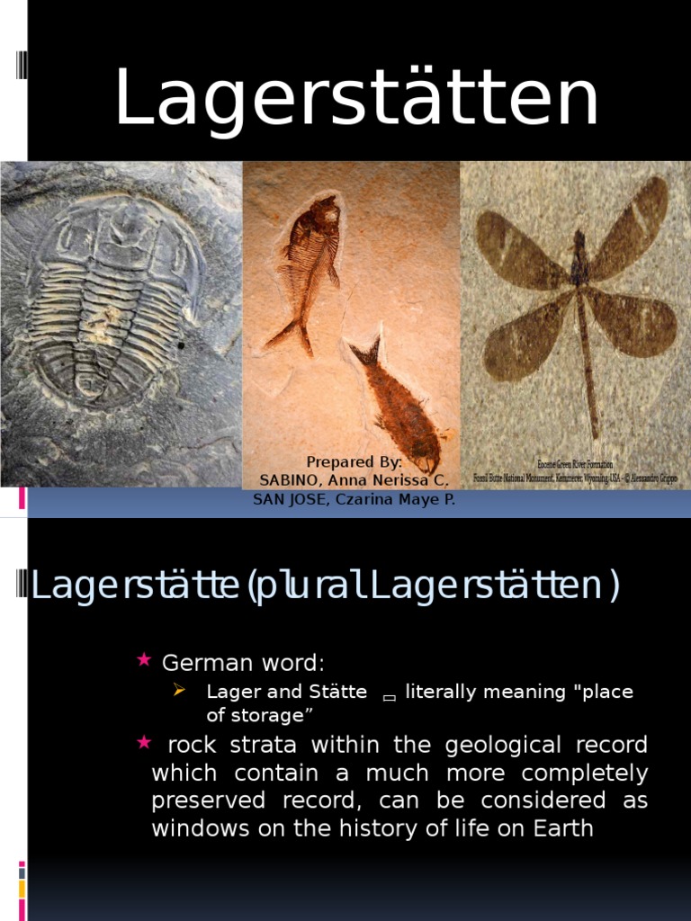 Lagerstatten | PDF | Science | Paleontology