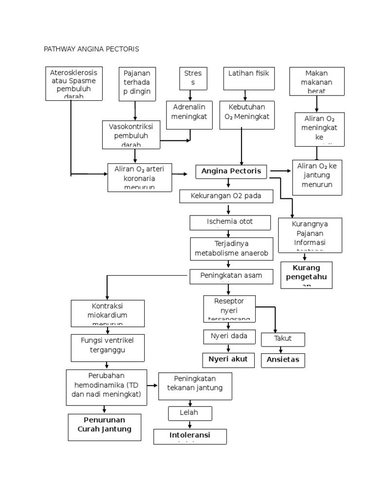 Pathway Angina Pectoris | PDF