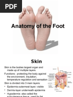 Interdigital (Morton's) Neuroma - Foot & Ankle - Orthobullets | PDF ...