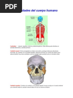 Cavidades del Cuerpo Humano y sus Órganos | PDF | Términos anatómicos ...