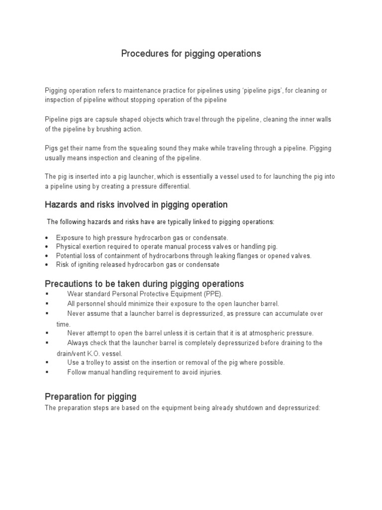 Procedures for Pigging Operations | Pipeline Transport | Visual Cortex