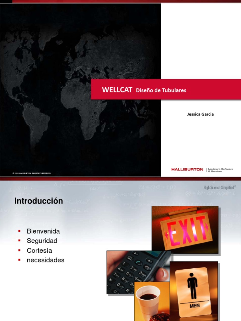 WELLCAT JessicaGarcia | PDF | Diseño | Gases