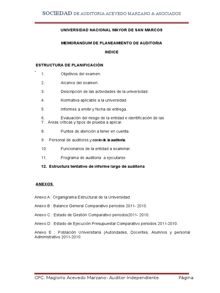 Modelo de Memoramdum | PDF | Auditoría financiera | Contabilidad
