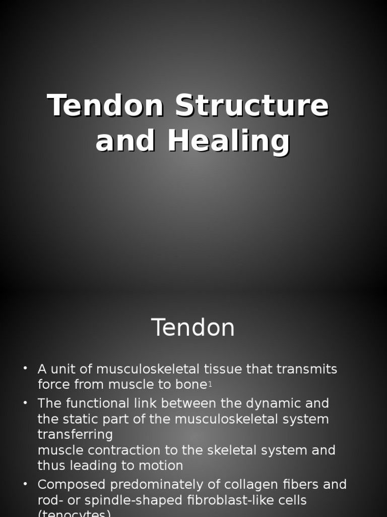 Tendon Healing | PDF | Tendon | Healing