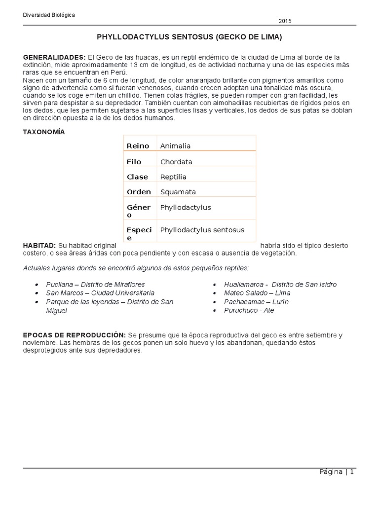 Gecko de Lima-Reptil en Peligro de Extinción | PDF | Conservación | Science
