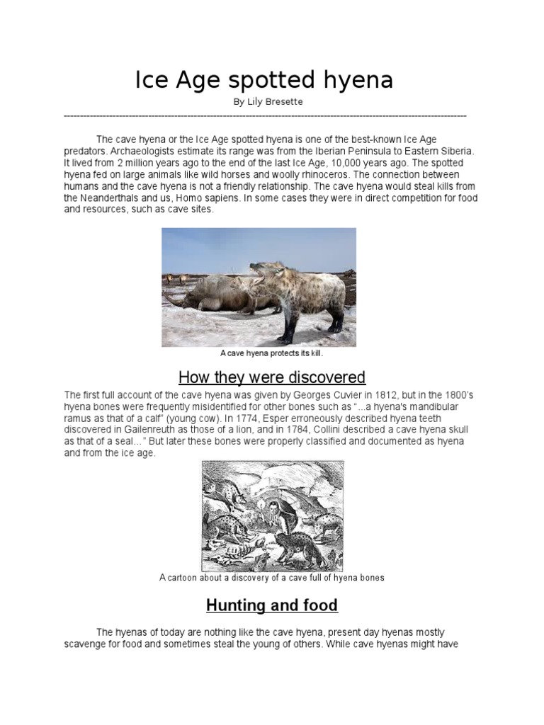 Ice Age Spotted Hyena Overview | PDF | Homo | Nature