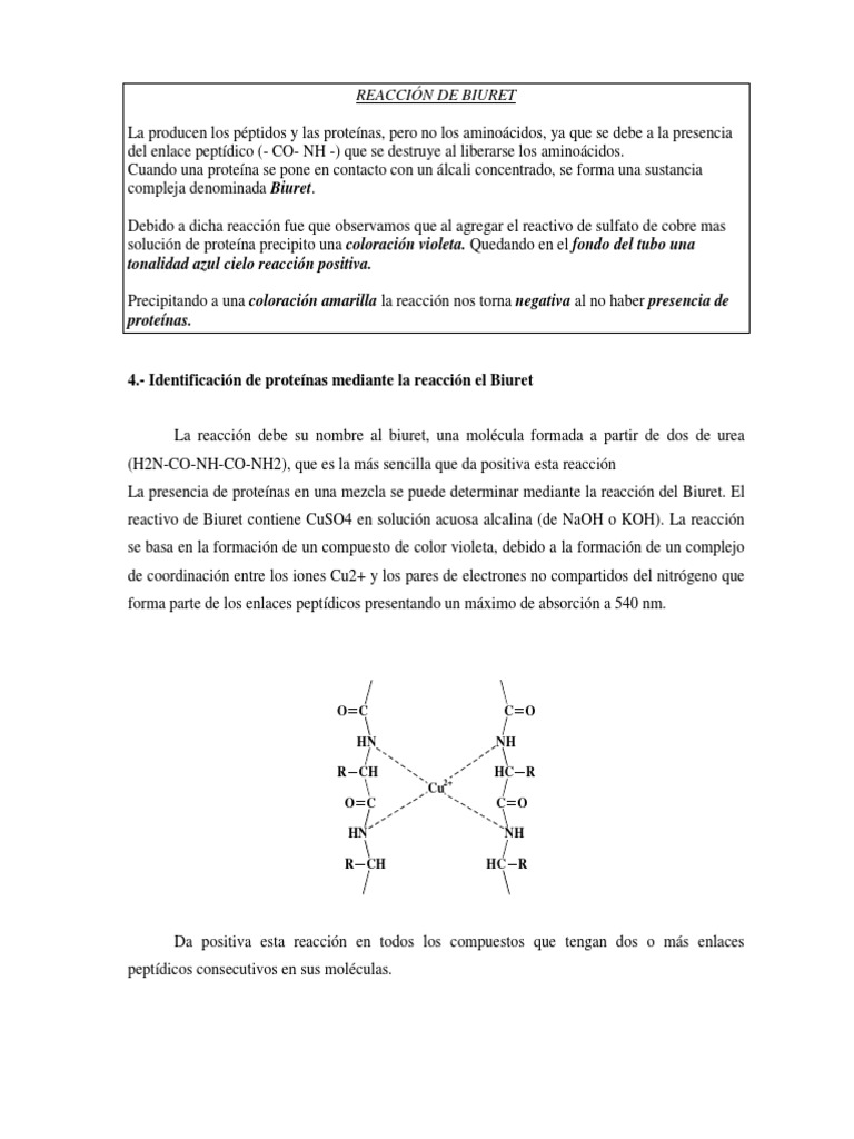 Identificación de Proteínas por Biuret | PDF