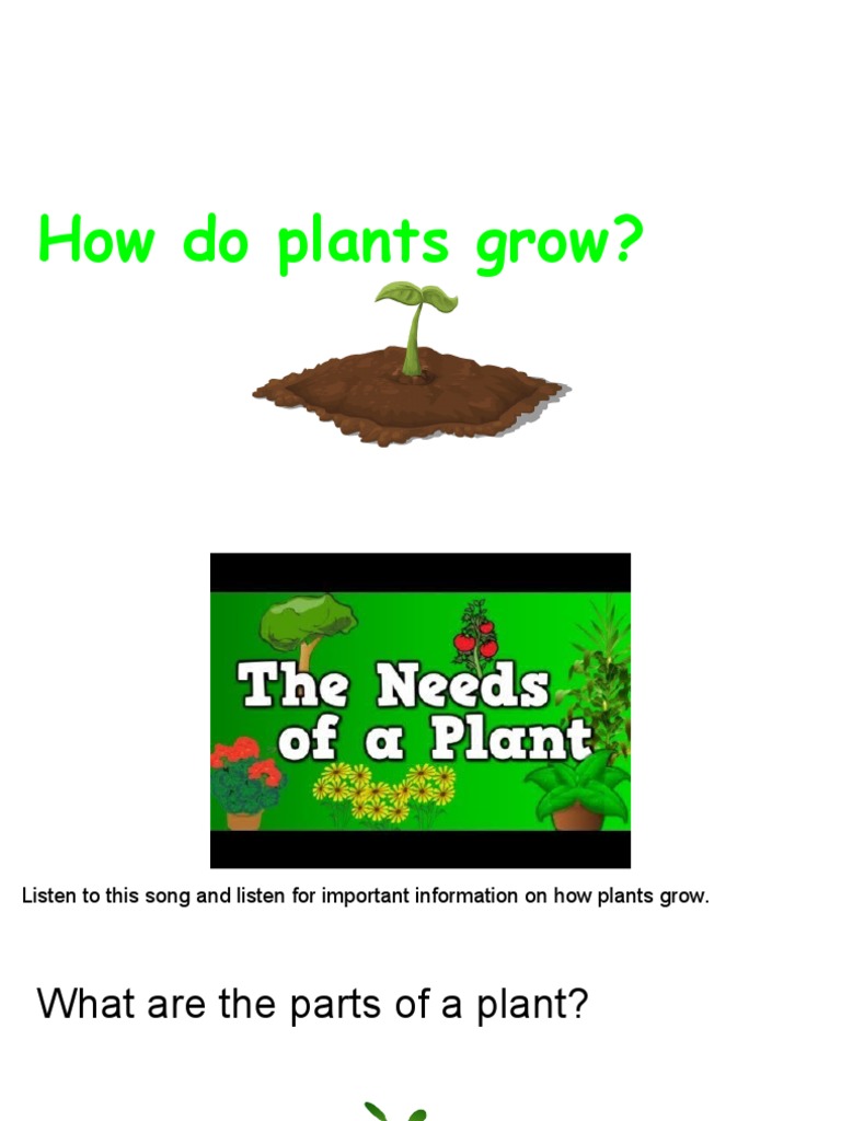 How Do Plants Grow | PDF