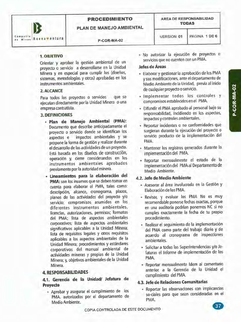 Formato Pma | PDF