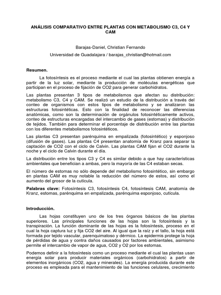Metabolismos C3, C4 y CAM en Plantas | PDF | Fotosíntesis | Hoja