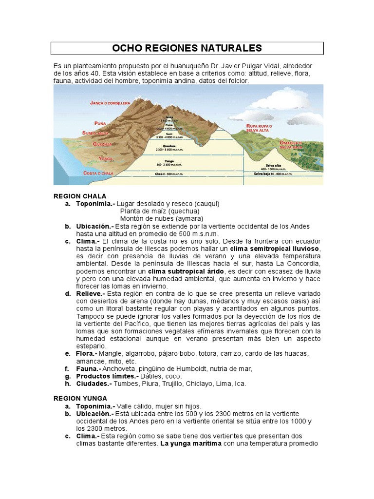 Ocho Regiones Naturales Del Perú