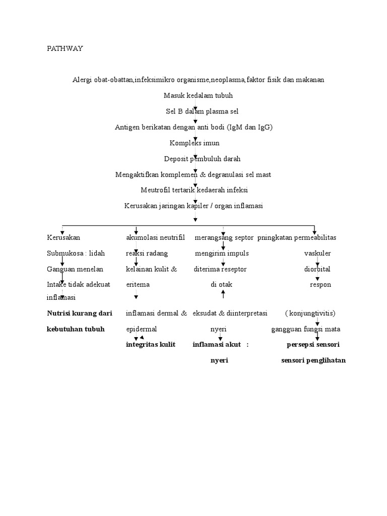 Pathway Askep Steven Johnson | PDF