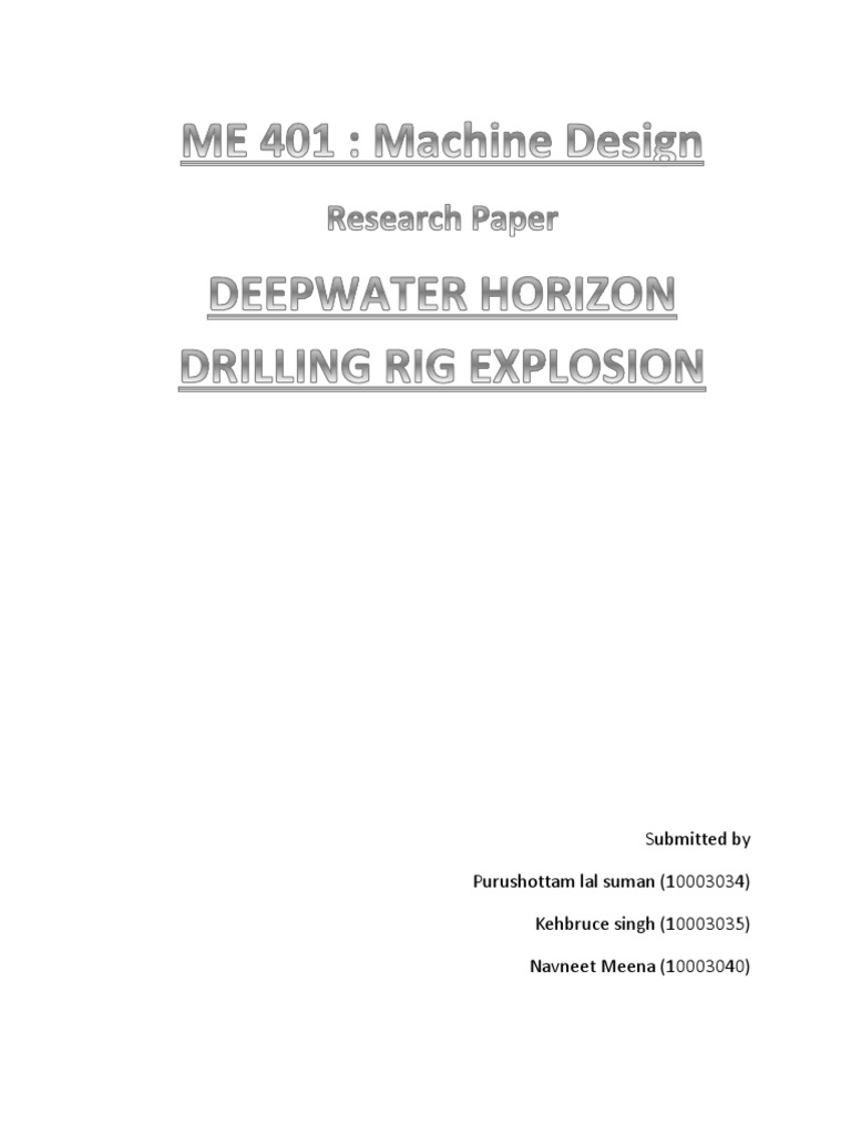 Deepwater Horizon Project Details | PDF | Deepwater Horizon | Deepwater ...