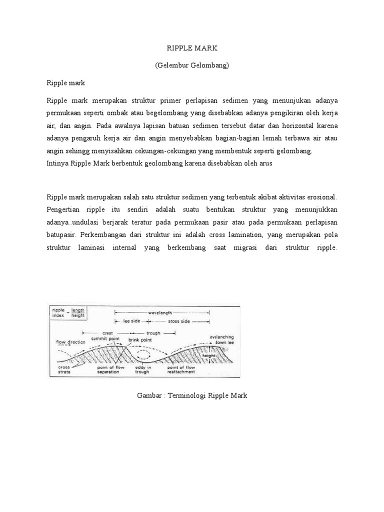 Ripple Mark | PDF | Sains & Matematika